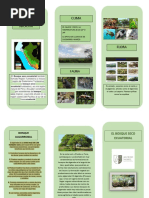 Triptico Region Rupa Rupa | PDF | Ciencias de la Tierra | Conservación