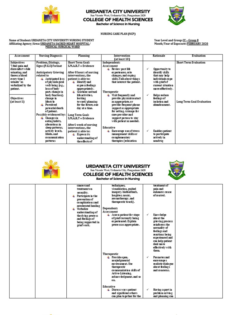 NCP For Bladder Ca | PDF | Grief | Nursing