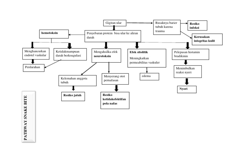 Pathway Snake Revisi | PDF