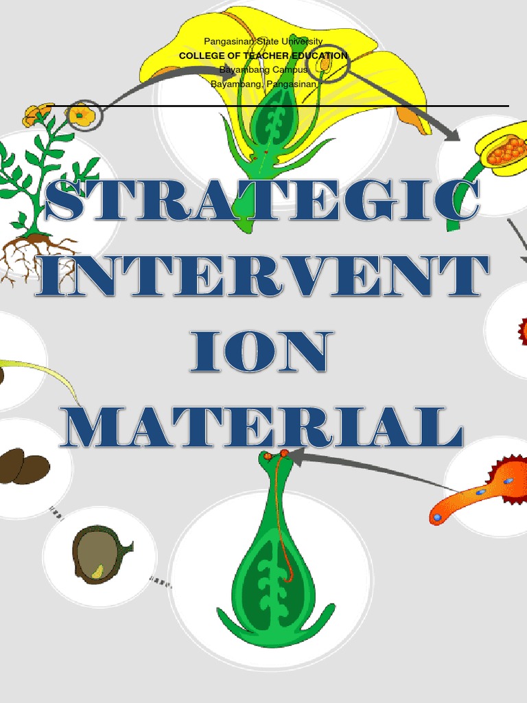 Strategic Intervention Material | PDF
