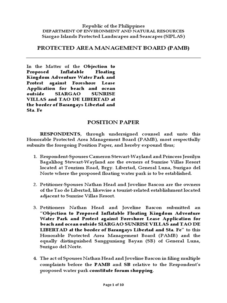 Position Paper Ver 2 | PDF