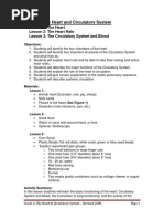 RESPIRATORY SYSTEM WORKSHEET Answer Key | PDF | Respiratory Tract ...