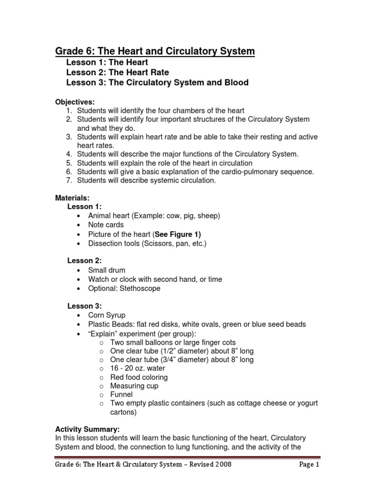 Grade 6 Heart Circulatory System Guide Pdf Self Improvement