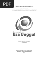 Laporan Mikrobiologi Dasar Kelas B06 - Kultur Bakteri Dan Morfologi ...