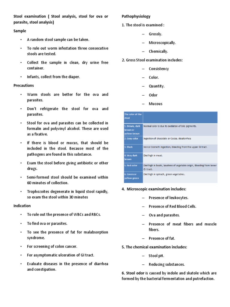 Stool Examination | PDF