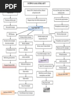 Pathway CKD Sdki | PDF