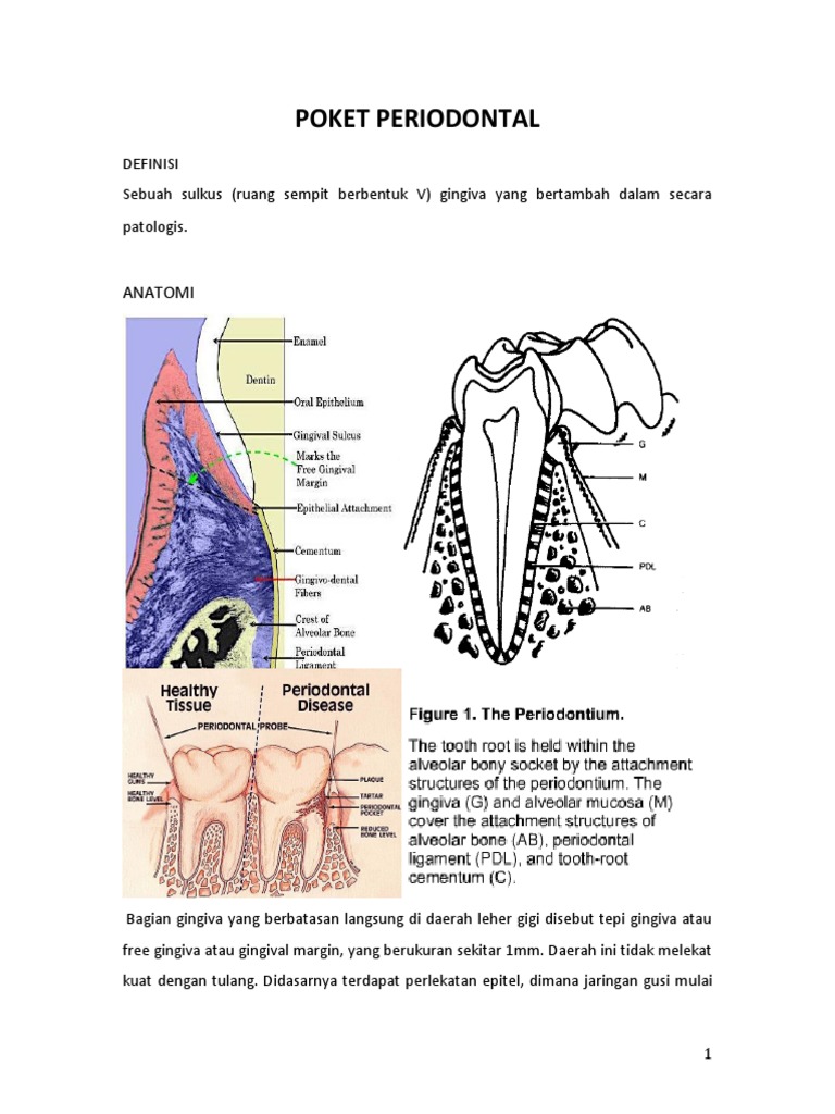 Poket Periodontal | PDF | Kajian Bahasa Asing | Kesehatan Holistik