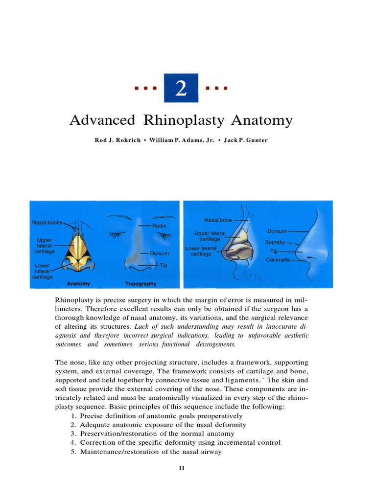 02 - Advanced Rhinoplasty Anatomy | PDF