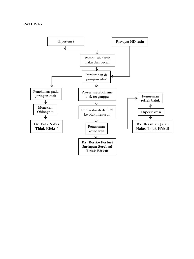 Pathway Risiko Perfusi Serebral Tidak Efektif | PDF