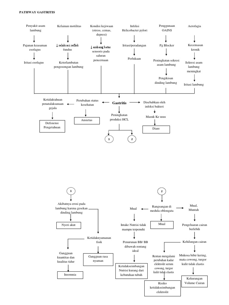 PATHWAY Gastritis IGD | PDF