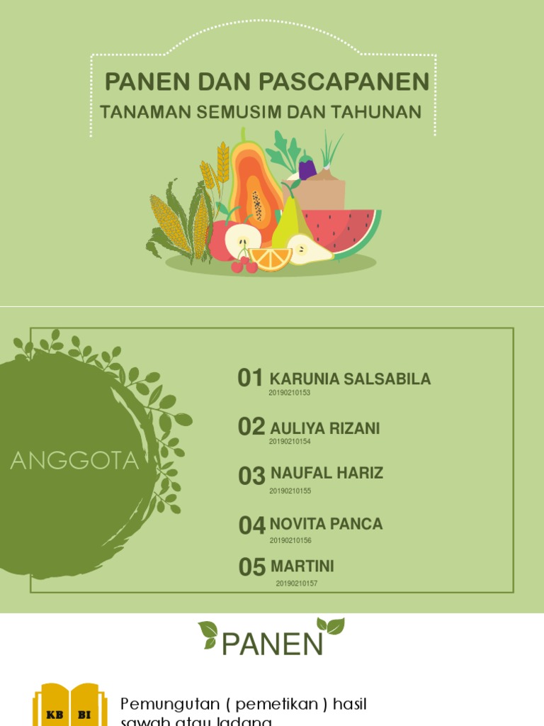 Panen Dan Pascapanen Tanaman Setahun & Tahunan | PDF