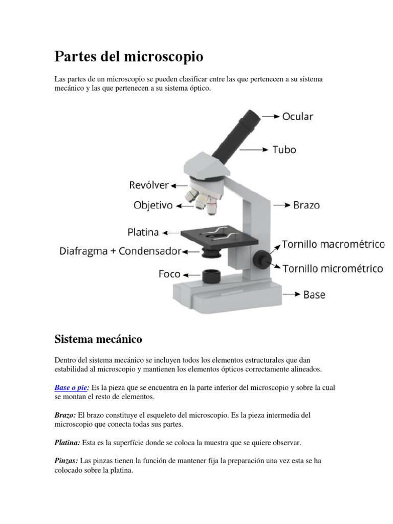 Partes Del Microscopio | PDF