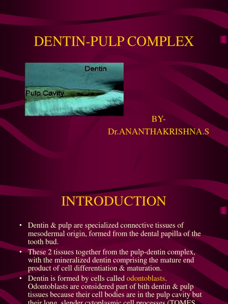 Dentine Pulp Complex | PDF