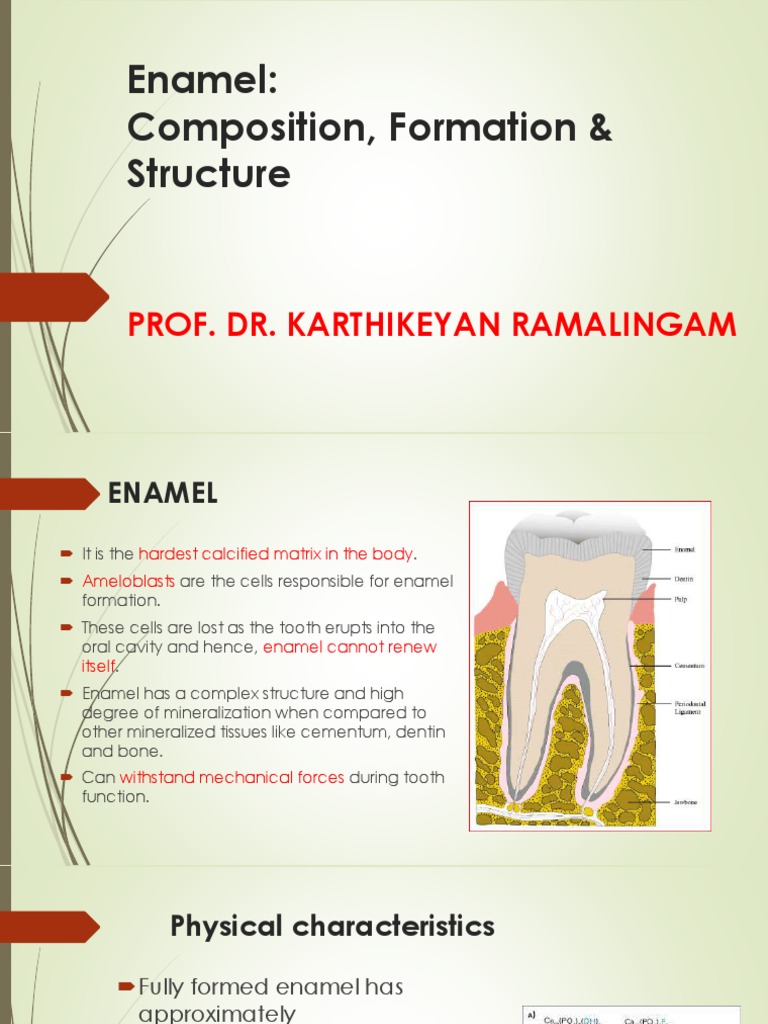 Enamel-Histology (1).pdf