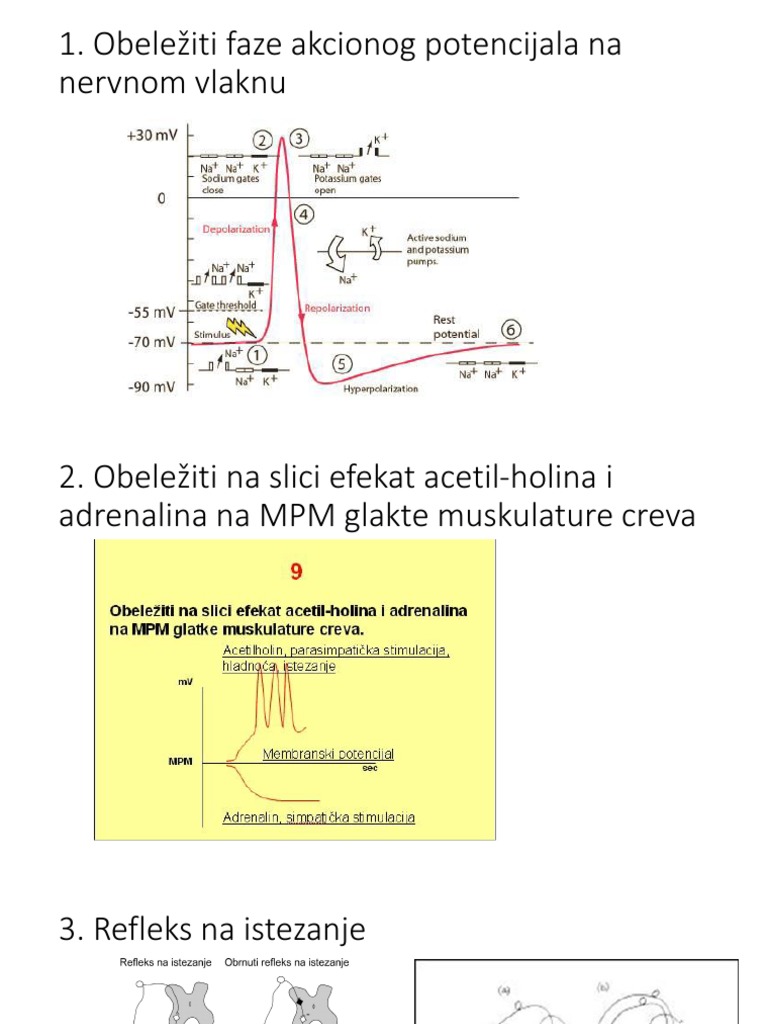 Slike I Seme | PDF