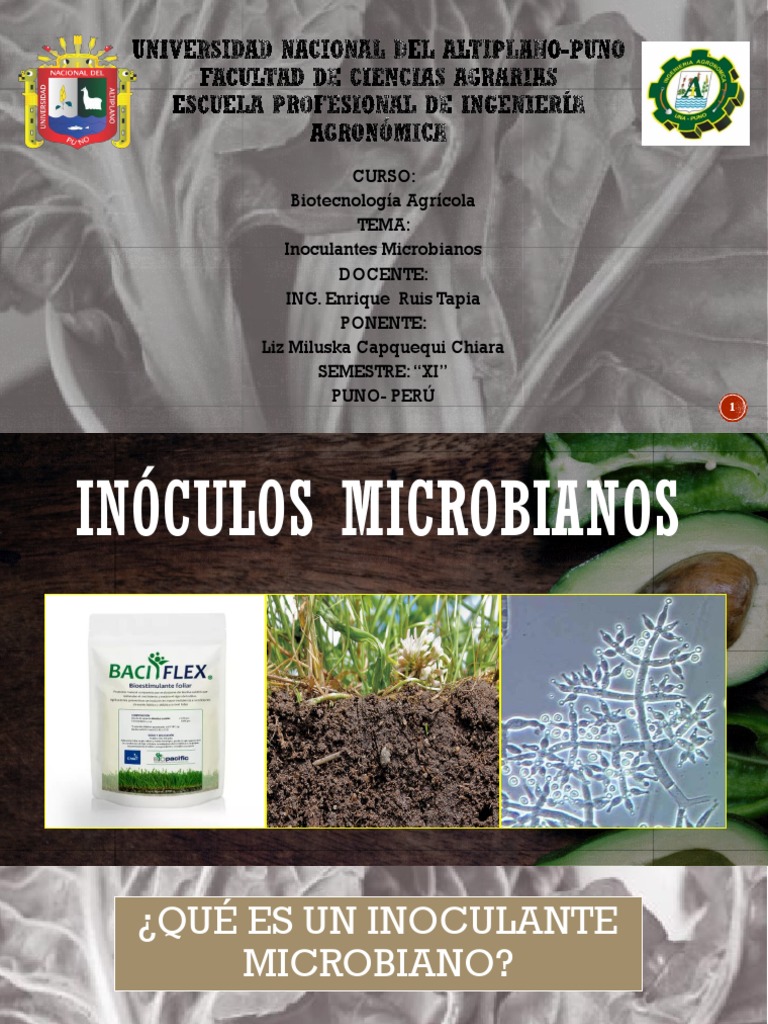 Inoculos Microbianos | PDF