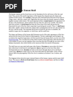 Common Bone Markings | PDF