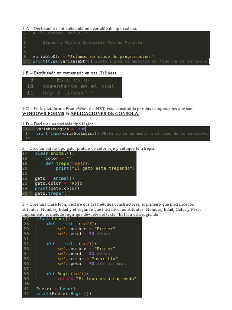 Programacion y Estructura de Datos Ejercicios POO | PDF | Informática
