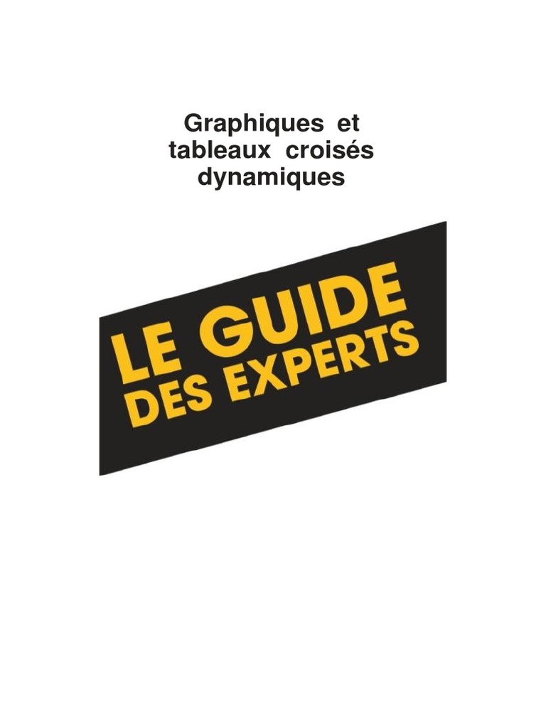 Excel Guide TCD | PDF | Ordinateurs