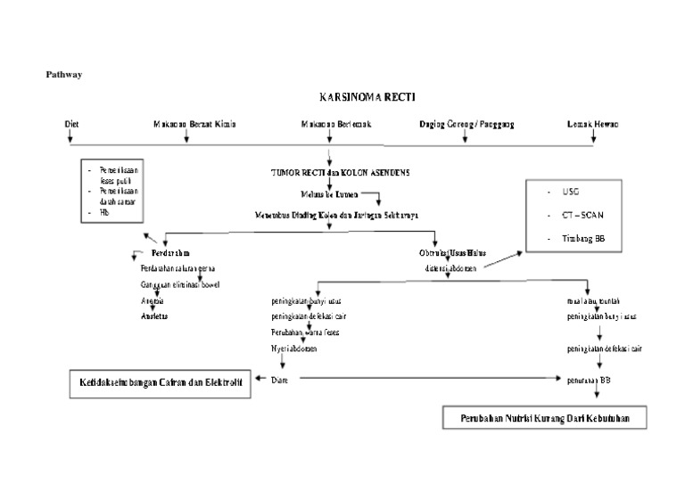 Pathway Ca Rekti | PDF