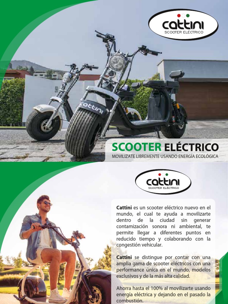 Catalogo Cattini 2020 | PDF