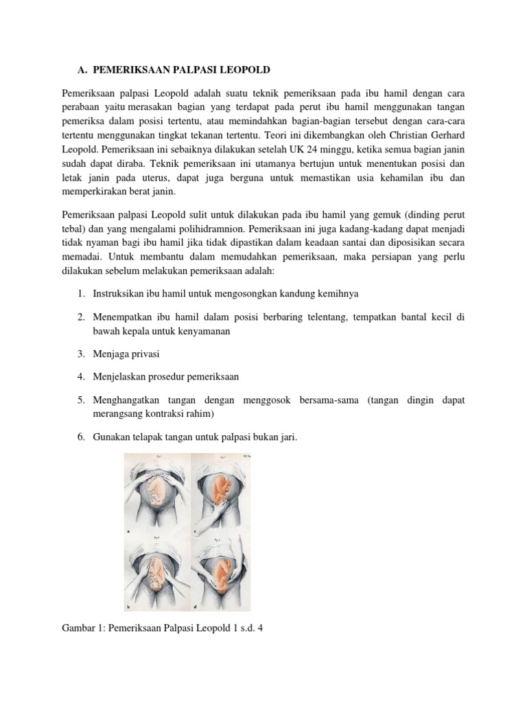 Pemeriksaan Palpasi Leopold | PDF