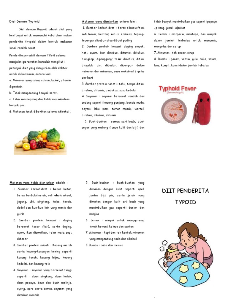 Diet Demam Typhoid | PDF