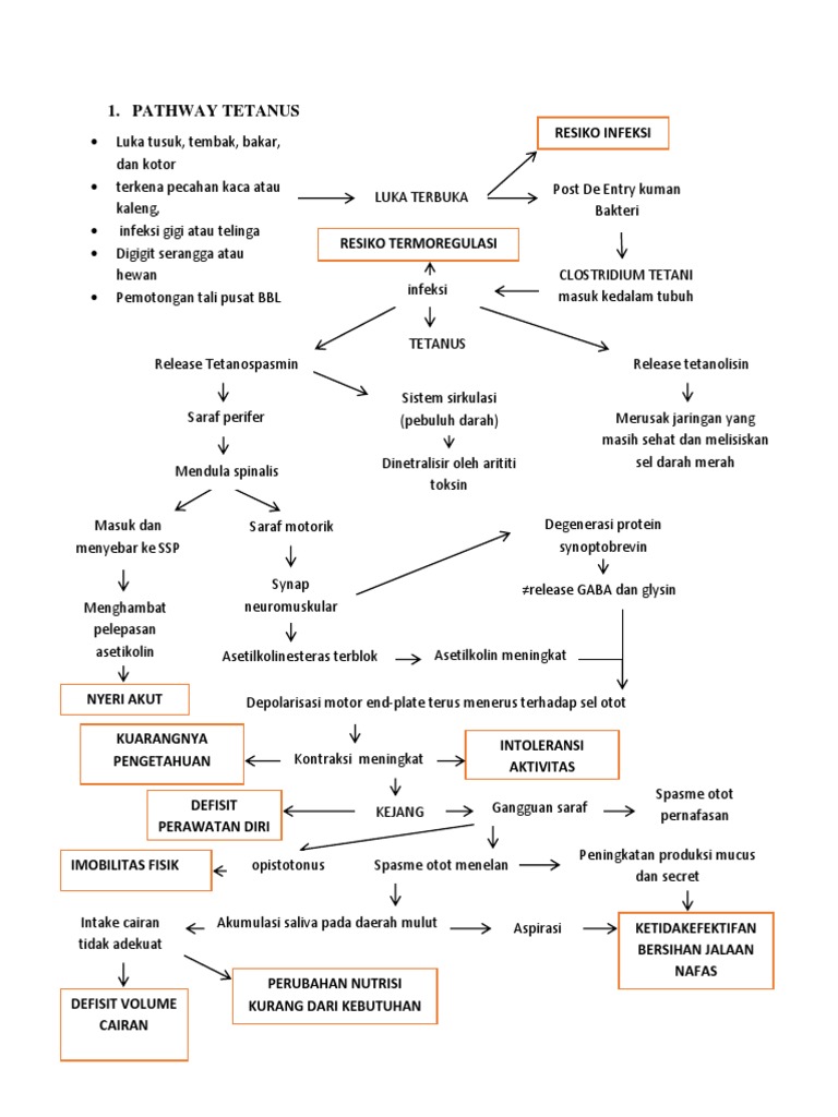 Pathway Tetanus | PDF