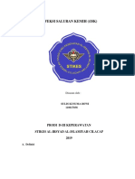 LP Dan Askep Infeksi Saluran Kemih (ISK) | PDF