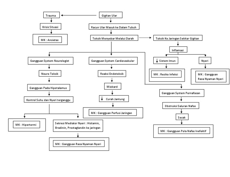 Pathway Snake Bite | PDF