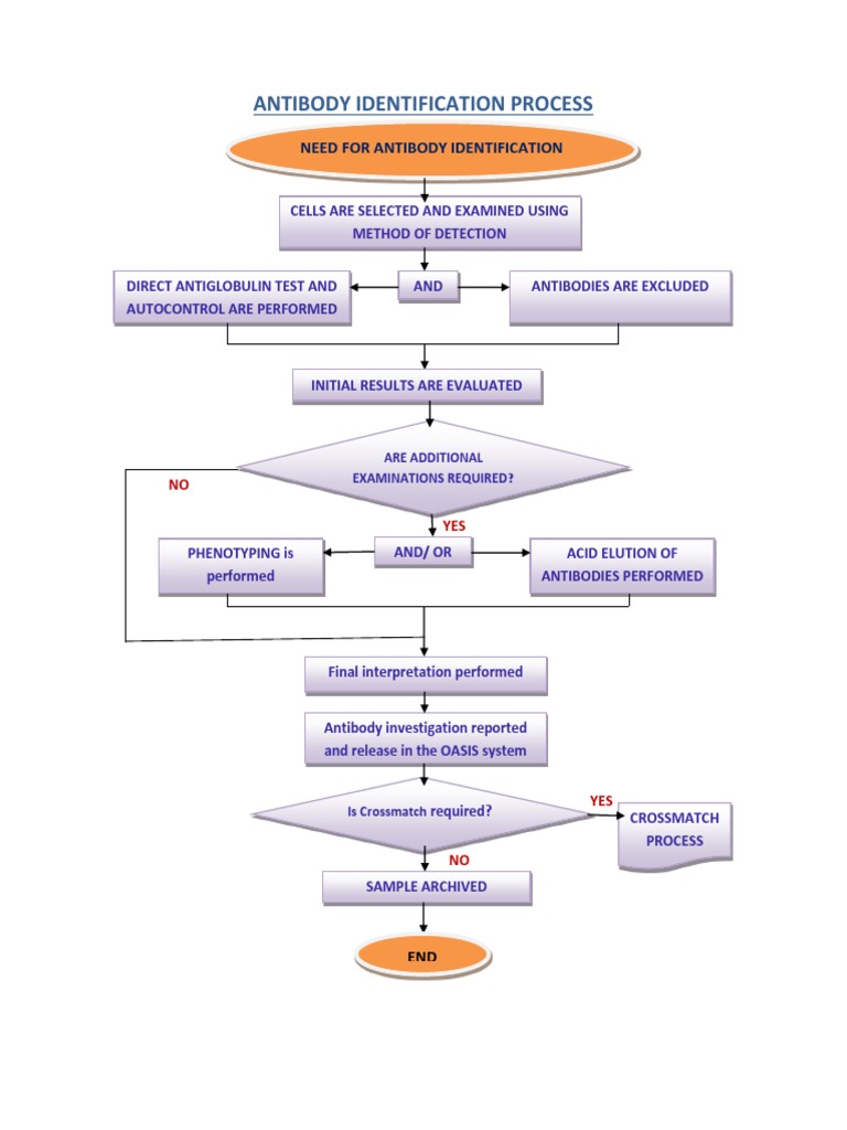 Antibody Identification Process Flowchart | PDF