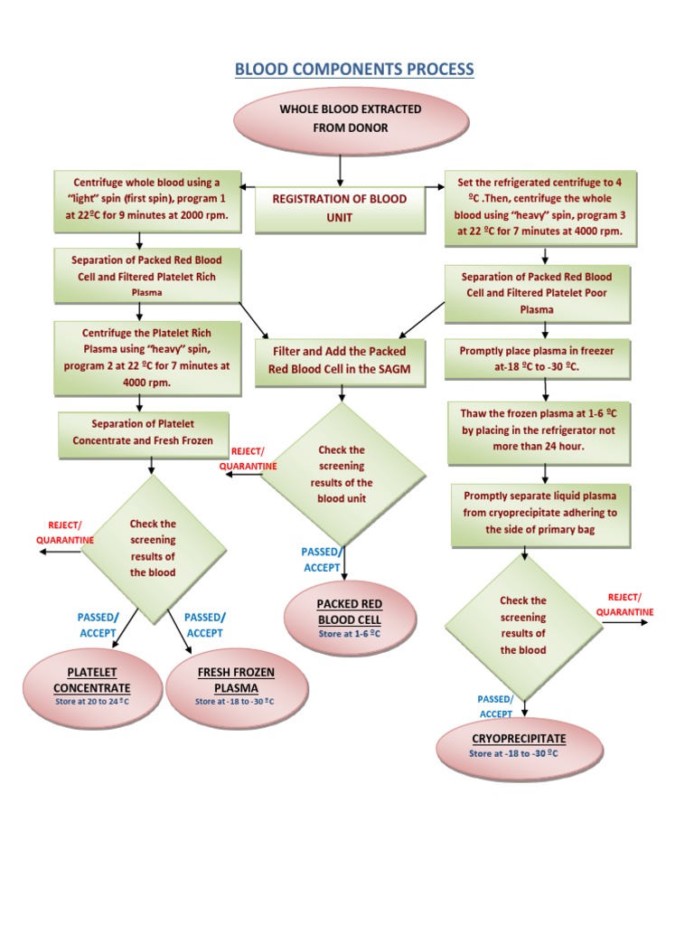 Blood Components Process Flowchart | PDF | Blood Plasma | Hematology