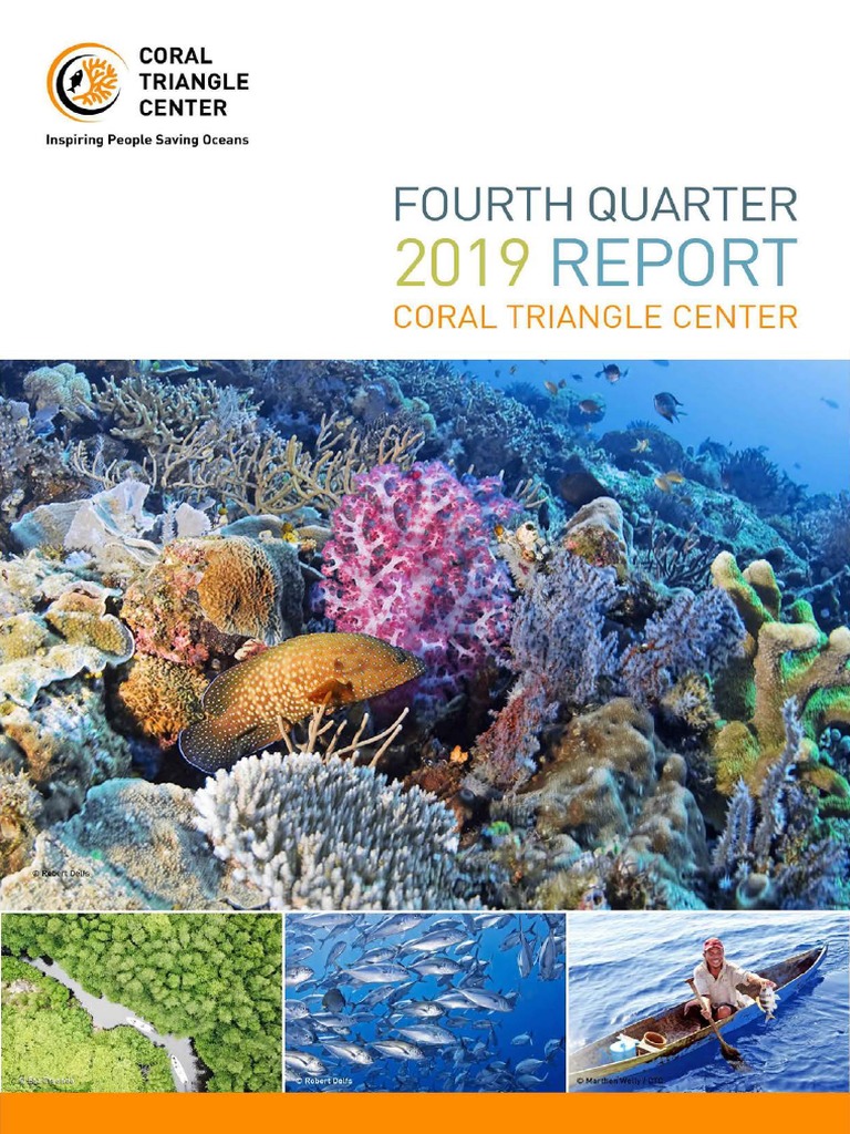 Final Report CTC q42019 | PDF