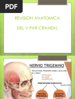 Region Superciliar ANATOMIA 2 FOLP | PDF | Anatomía humana | Cabeza y ...
