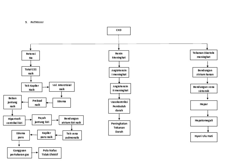 Pathway Ckd-Dyspnea | PDF