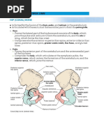 Answers Lab8 9 AppendicularSkeleton | PDF | Pelvis | Hip