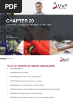 ICD-10 Chapter 20: External Causes Guide | PDF | International ...
