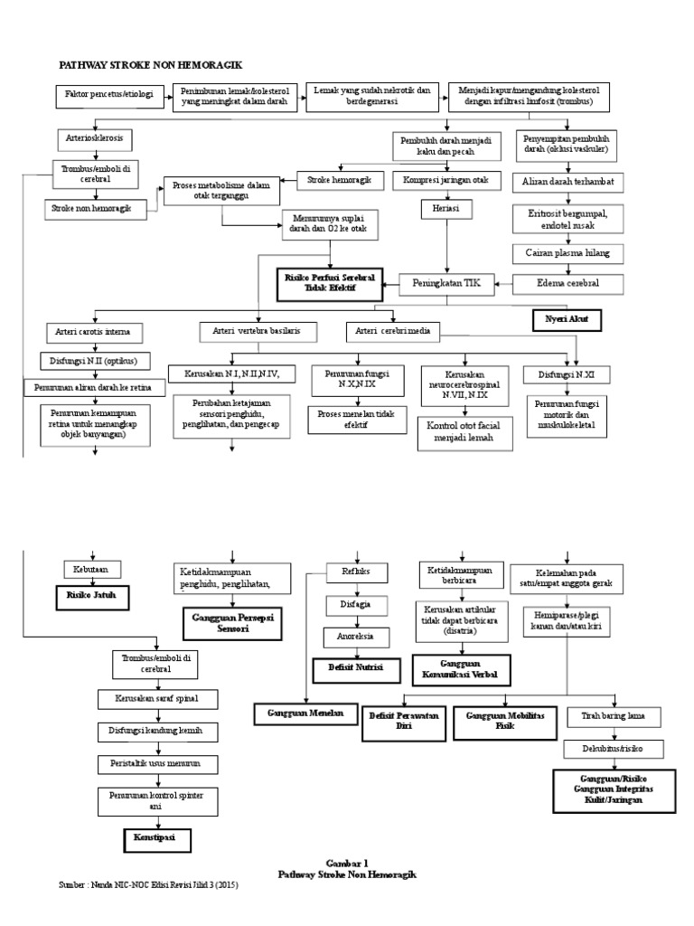 Pathway SNH FIX | PDF