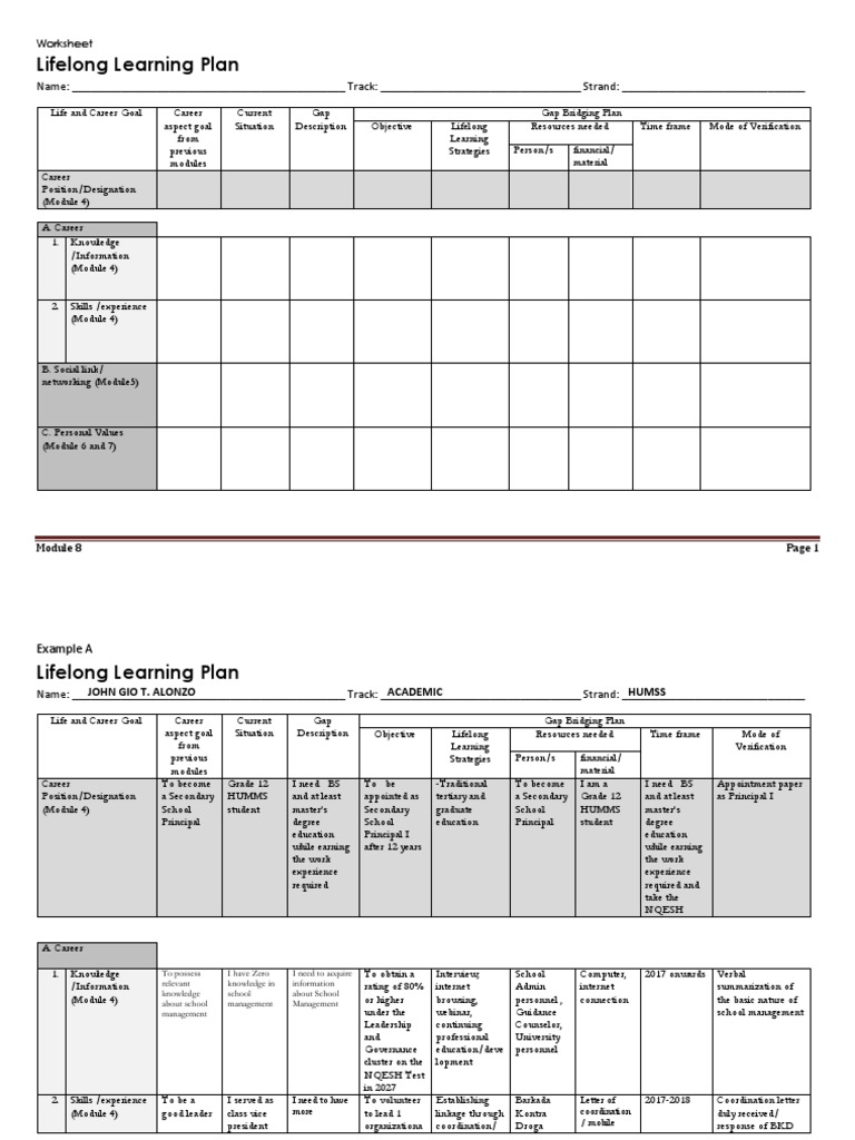 Lifelong Learning Plan Worksheet | PDF