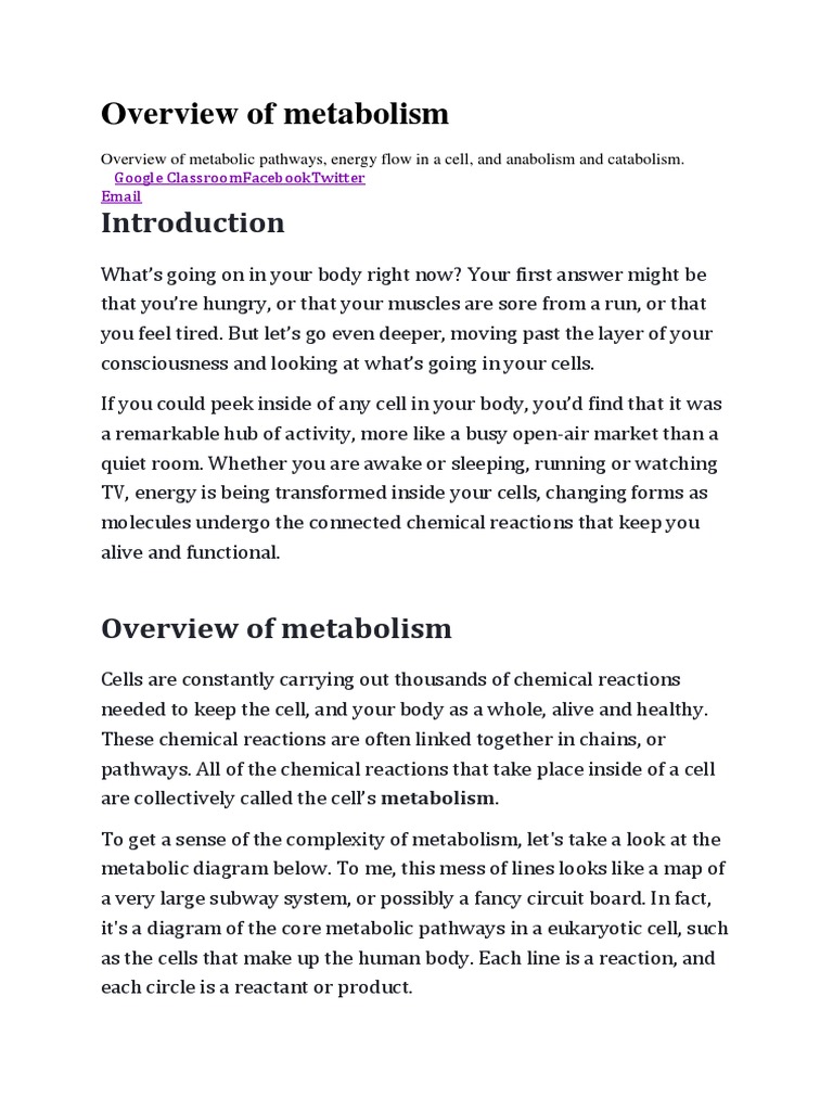 Cellular Metabolism | PDF