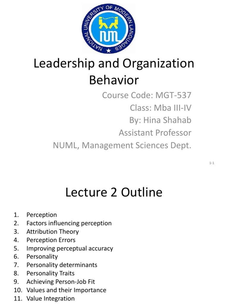 OB Lecture 2 | PDF