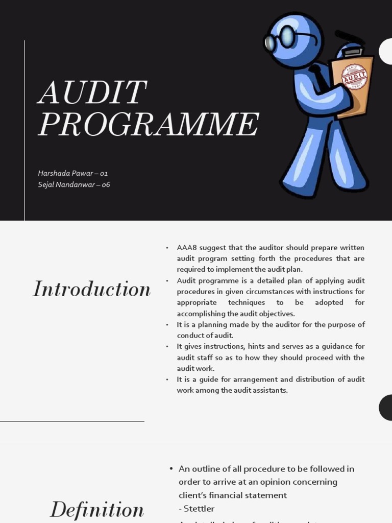 audit-programme-pdf