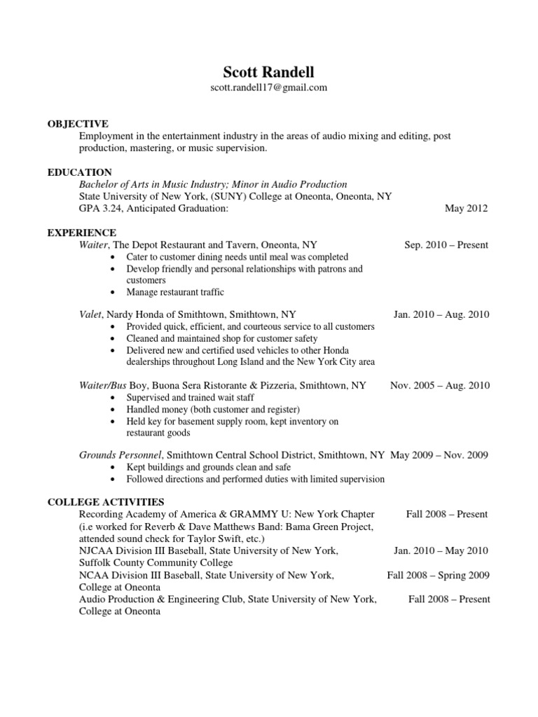 Professional Resume (Version 2) | PDF