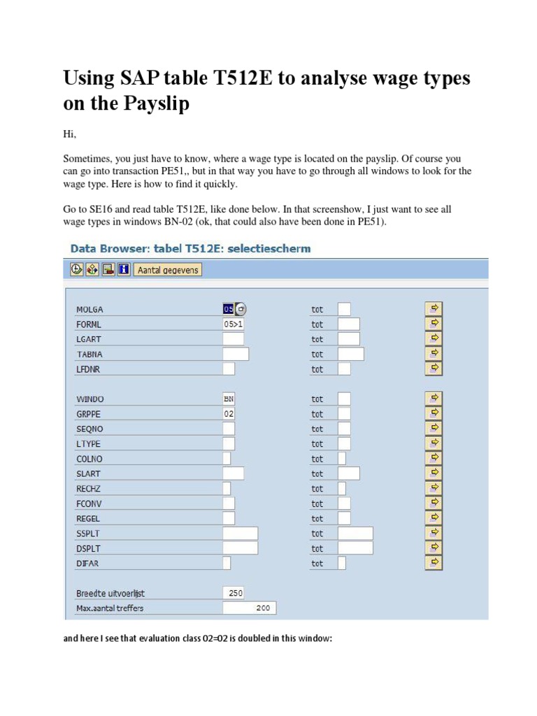 Using SAP Table T512E To Analyse Wage Types On The Payslip | PDF