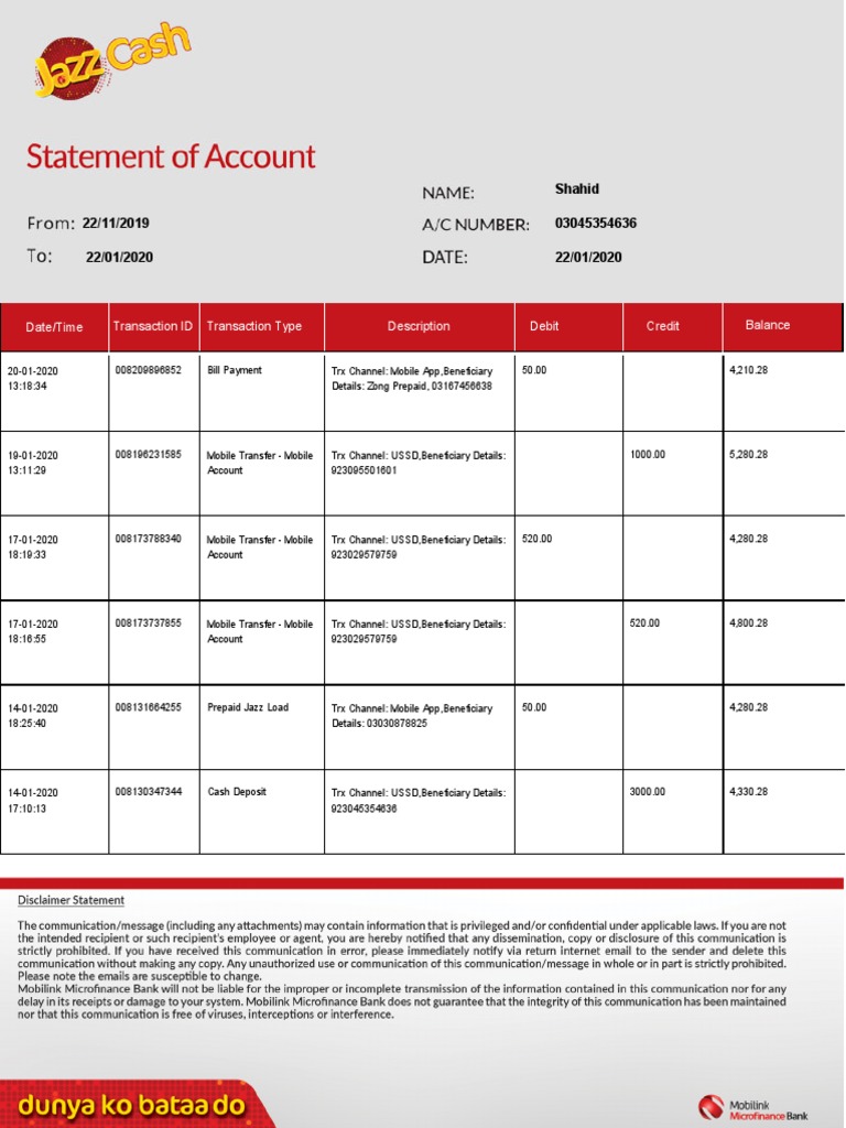 AccountStatement PDF | PDF