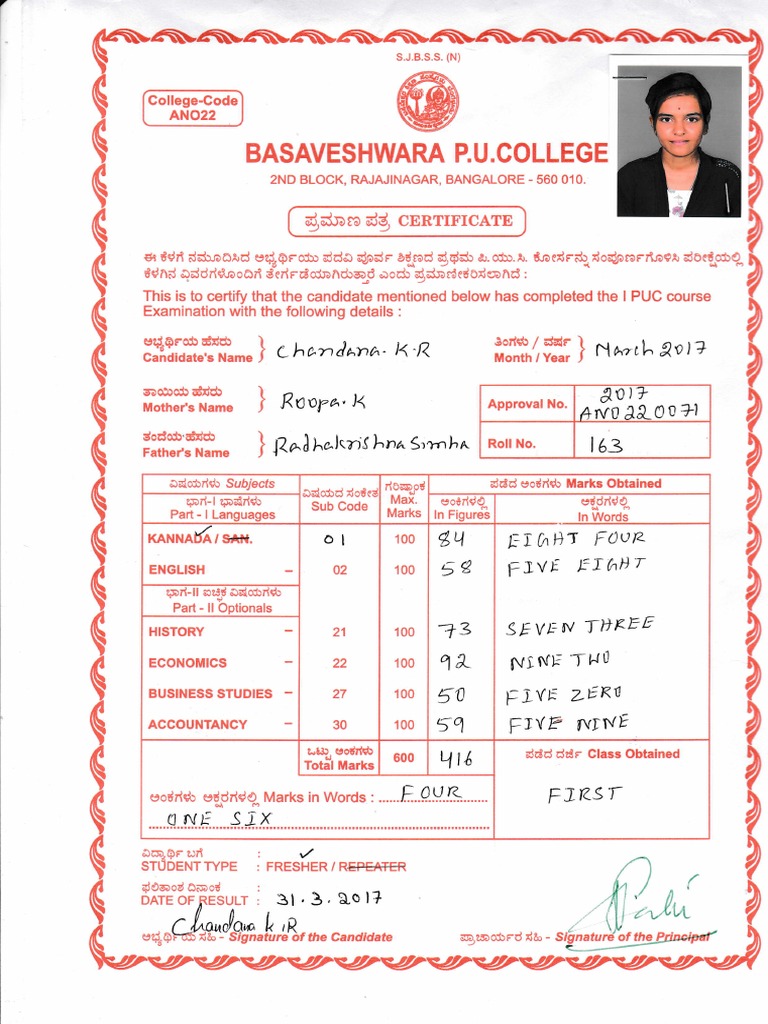 1ST Puc Marks Card - Original | PDF