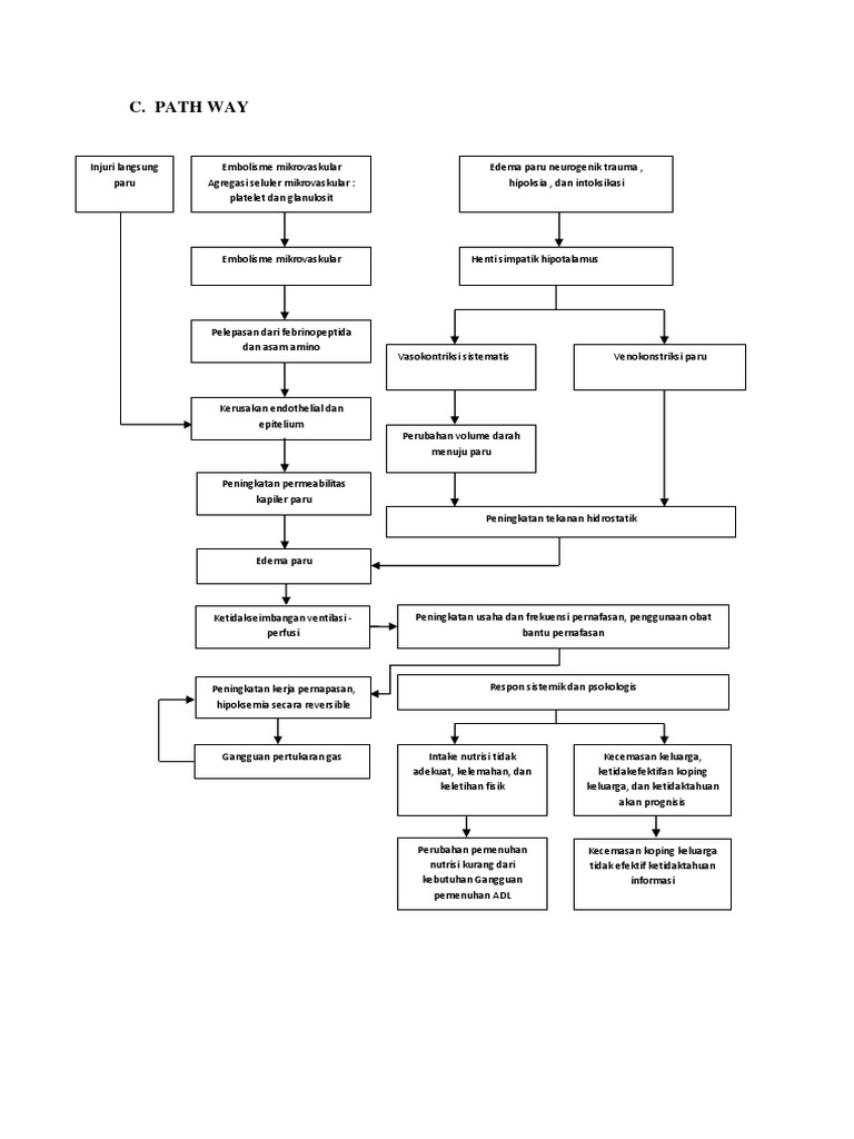 Pathway Sepsis | PDF