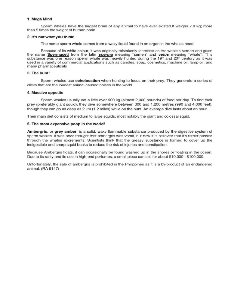 Silago Southern Leyte: Spermwhale Skeleton | PDF