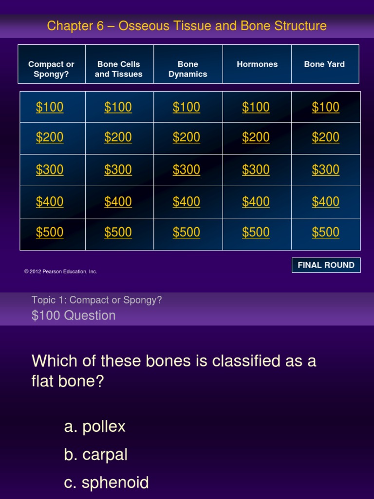 Chapter 6 Bone Tissue Anatomy and Physiology Quiz | PDF