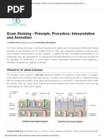 Microbiology Gram Stain Lab Report | PDF | Staining | Histopathology